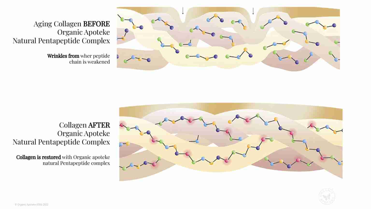 A Natural Peptide Complex - Organic Apoteke